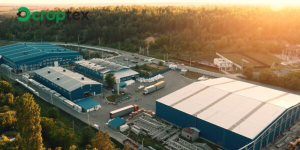 Tìm Hiểu Quy Trình Chăn Nuôi Heo Công Nghiệp Hiệu Quả - CropTex