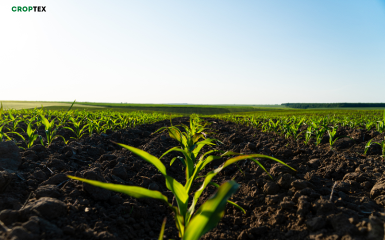 Các Loại Phân Bón Vô Cơ: Tác Dụng và Cách Sử Dụng Hiệu Quả - CropTex